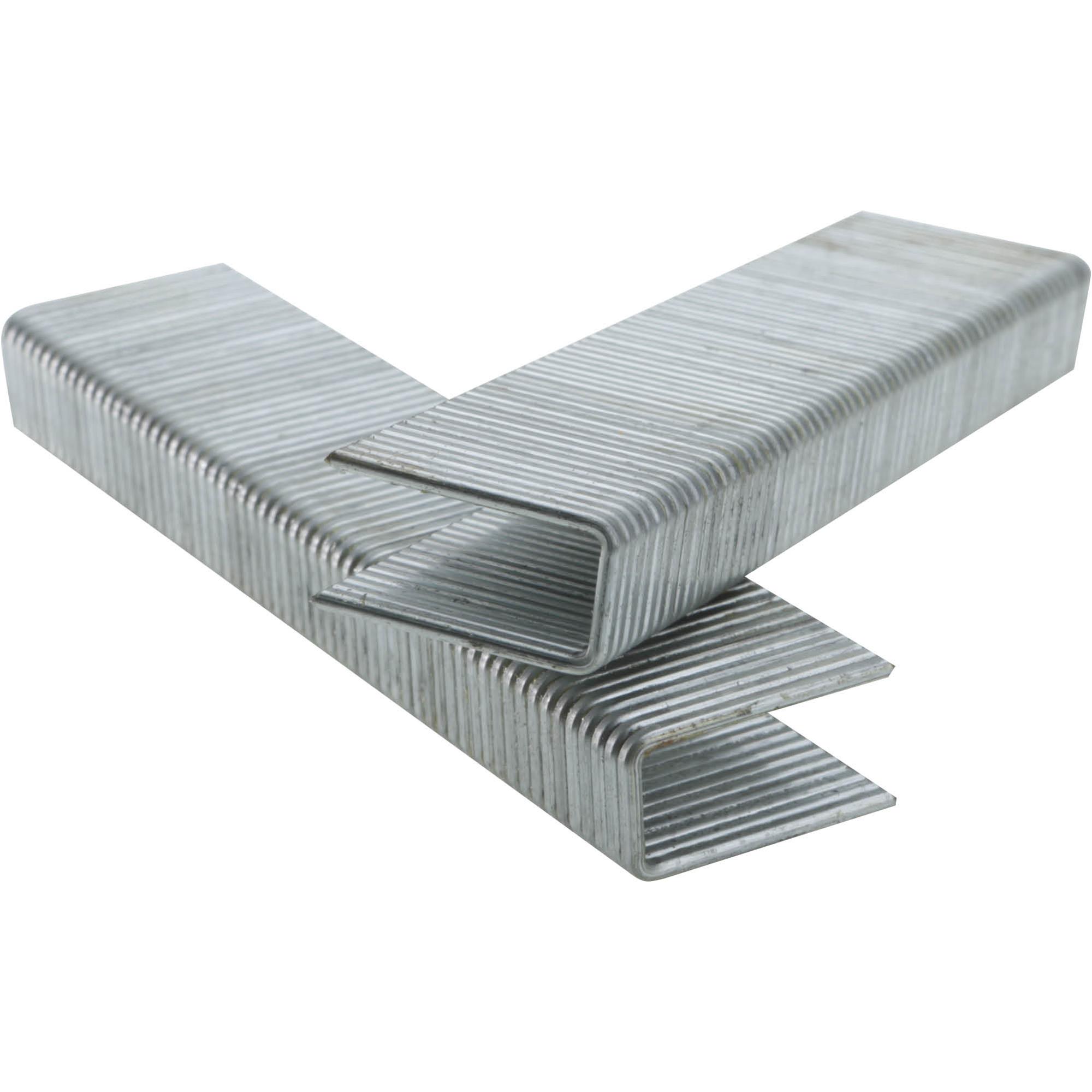 1-1/4" Staples for Flooring Stapler - Box of 5000 - Grizzly Industrial ...